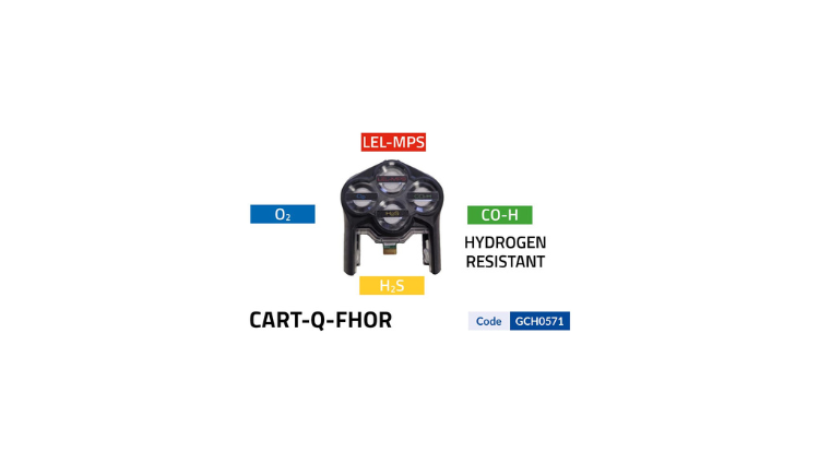 CART-Q-FHOR 12 Months Insight [READY4HIRE] - Tecto Group® Ltd